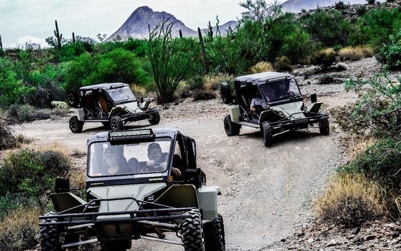 Half-Day Tomcar ATV Adventure by Desert Wolf Tours in New River, AZ ...