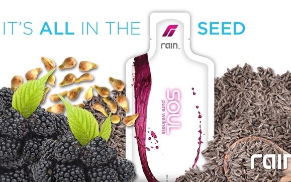 SEED based NUTRITION: SOUL, CORE, & FORM by Rain International, SEED ...