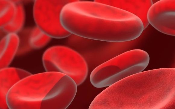 Live Blood Analysis-Live Blood Cell Microscopy by Living Science ...