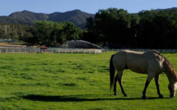 Red Barn Guest Ranch - Silt Area - Alignable