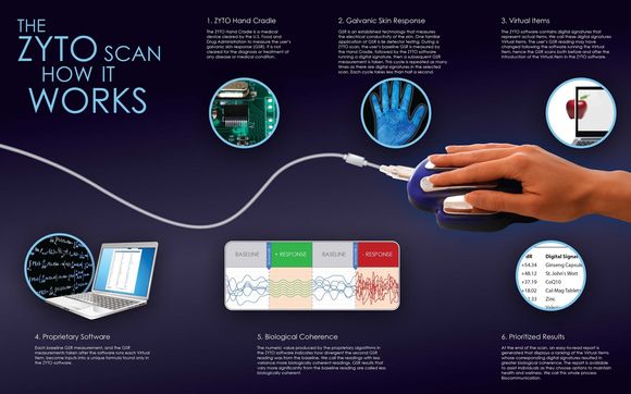 ZYTO Computerized Health Body Scan by Rivers Edge Wellness in ...