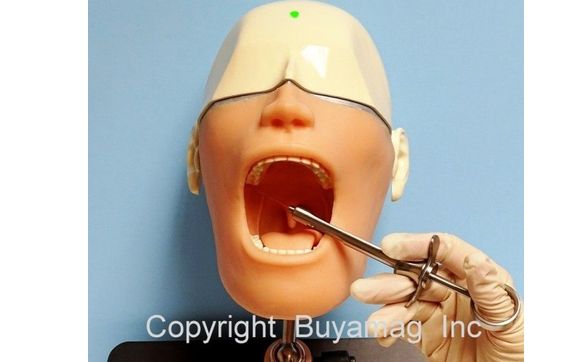 Buyamag Inc. Dental Simulators Manikins Models For Practice Training ...