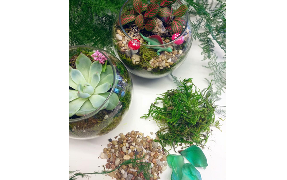 Make Your Own Terrarium Classes by Ephemera Terrariums and Plant Craft ...