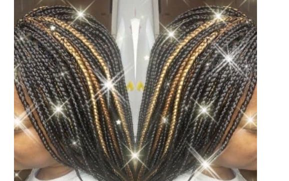 Small Box Braids by Mobile Braids by Cookie in Apopka, FL - Alignable