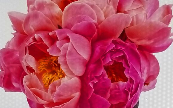 Fine art images by David Binnick Photography in Oak Park, CA - Alignable