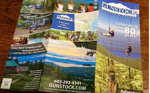 Brochure Design by Steve Lee Design in Concord, NH - Alignable