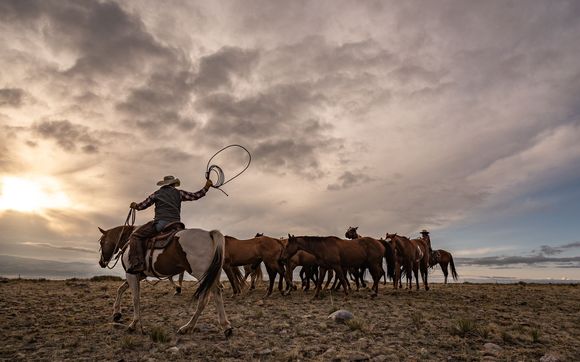 Fine Art Photos for the Home and Office decor by Soaring Light Images ...