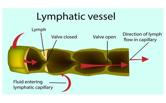 How H-Wave Helps Your Body Relieve Pain and Recover From Injury - Part ...
