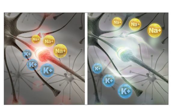 How H-Wave Helps Your Body Relieve Pain and Recover From Injury - Part ...