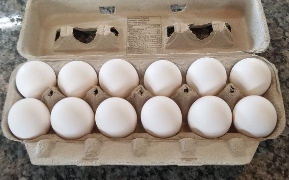 Scotford Colony Poultry Products by Scotford Colony Poultry Products in ...