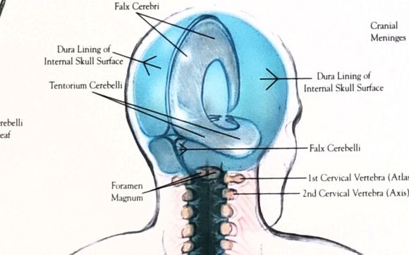 Cranial Sacral Therapy (CST) by Innovative Pain Release Center, LLC in ...
