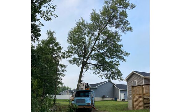 Firewood, campfire wood by Michiana Timber Management LLC in ... Firewood, campfire wood by Michiana Timber Management LLC in ...