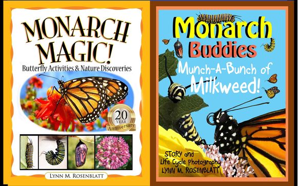 MONARCH MAGIC! & MONARCH BUDDIES by Lynn Rosenblatt Books in Newington ...