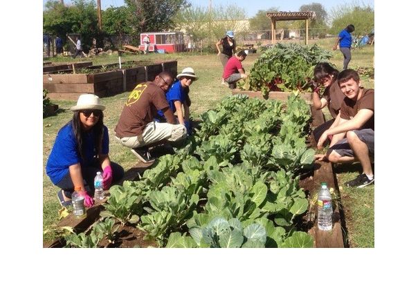 Naturally grown fresh fruits and vegetables by TigerMountain Foundation ...