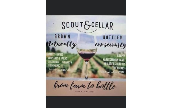 Wine tastings by Karola Cavagna Scout and Cellar Clean Crafted Wines ...