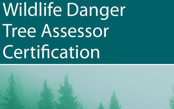 Wildlife and Dangerous Tree Assessor by TREE NORTH INDUSTRIES in ...