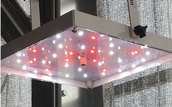 Food Security Structures Canada - London, ON - Alignable