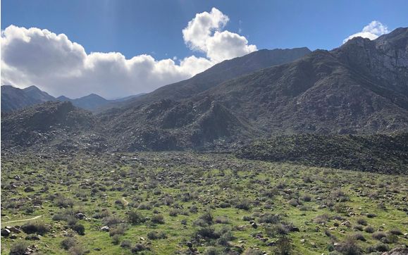 Land Real Estate by Kevin Rochlitz - Homes in Palm Springs, CA - Alignable