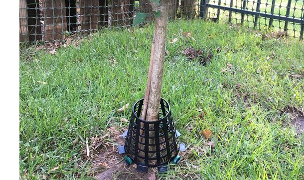 Plant Knight tree and sapling protector by Plant Knight Tree Guard in ...