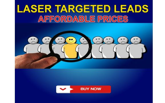 Business & Consumer Laser Targeted Leads by Alex Kamensky Digital ...