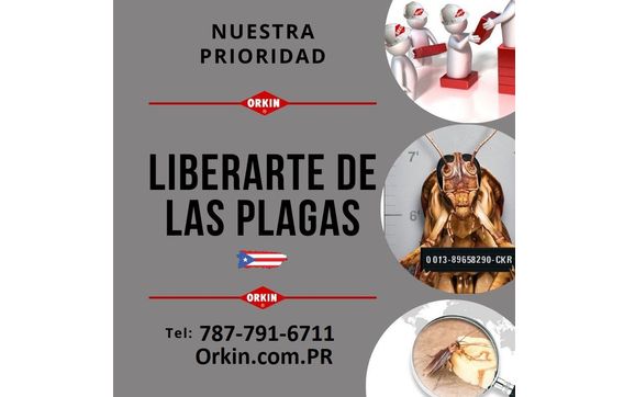 Control de Termitas (Comejen) by Orkin Puerto Rico in Catano Area ...