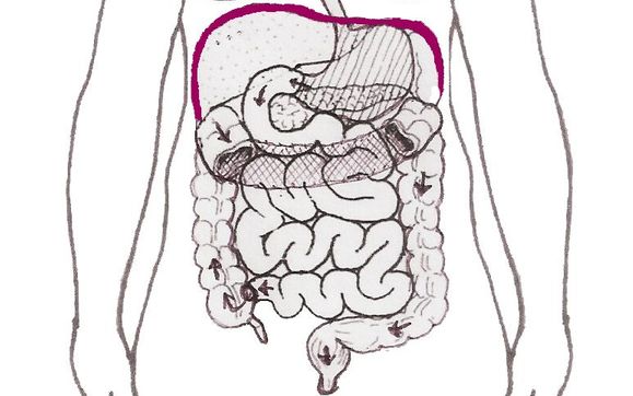 Abdominal Massage by Megan Assaf BFA,LMT in Rochester Area - Alignable