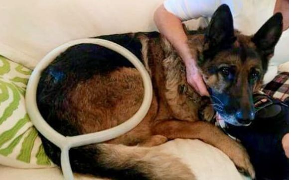 Magna Wave PEMF (Pulsed Electro Magnetic Field) Therapy by Ocala Magna ...