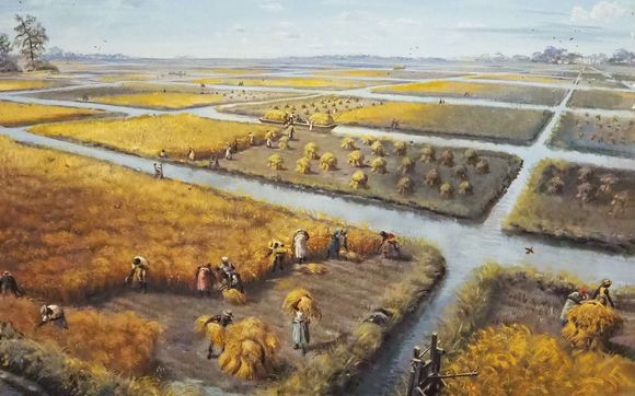 Rice Museum by The Rice Museum in Georgetown, SC - Alignable