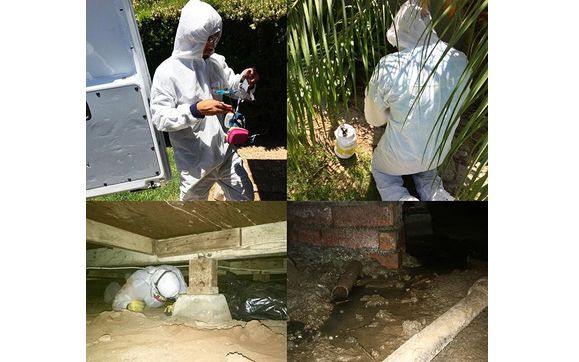 Full service substructure (crawlspace) sewage mitigation. by ...