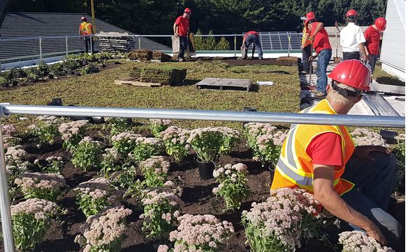 Firestone SkyScape Vegetated Roof System by MJ Building Envelope ...