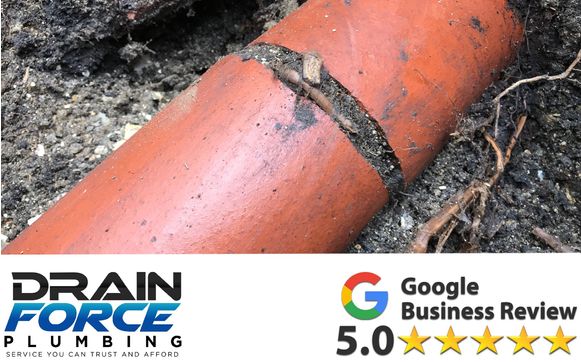 Drain Pipe Coating by Drain-Force Plumbing, Inc in Los Angeles, CA ...