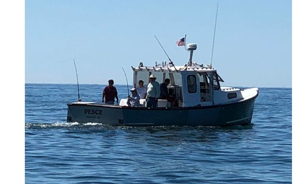 Capt Jims Charters LLC by capt Jim's charters LLC in Falmouth, MA ...