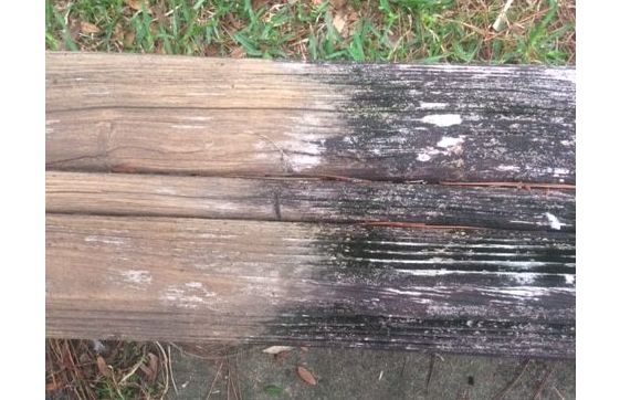 Sani-Powder EPA Registered as a Disifectant by NewWay Anolyte in La ...