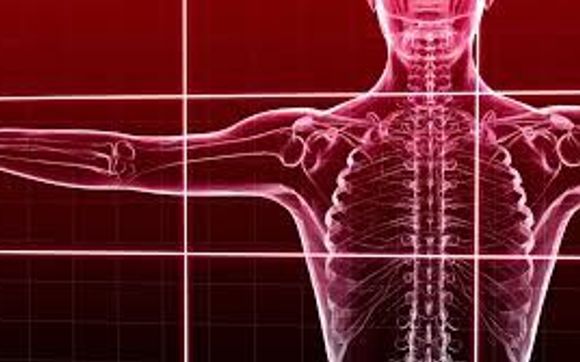 Synergistic Kinesiology with muscle testing by R3 Method in Naples, FL ...