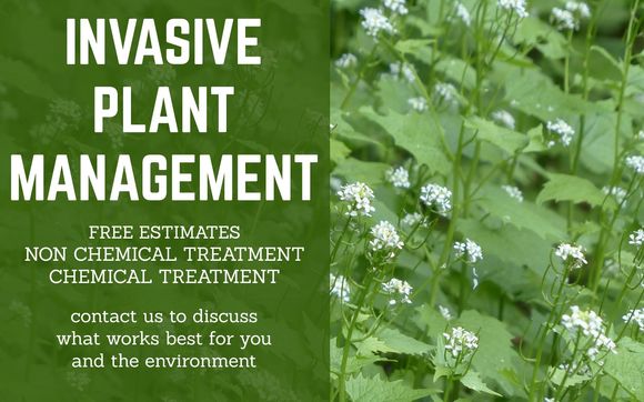 Invasive Plant Management by Sustainable Roots Ecological Restoration ...
