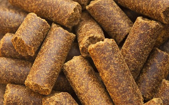 100% Dried Distillers Grain Cattle Range Cubes by MasterHand Milling in ...