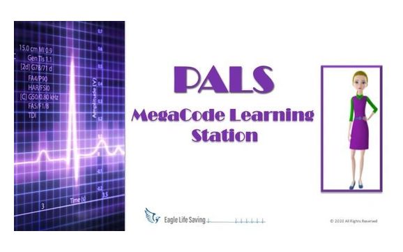 PALS_2021 MEGACODE LEARNING STATION - (STREAMING VIDEO) by Eagle Life ...