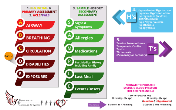ELS - SYSTEMATIC APPROACH BOARDS by Eagle Life Saving (CPR Company) in ...