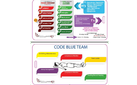 ELS - "CODE BLUE TEAM"_I.D. (BUDDY) BADGE by Eagle Life Saving (CPR ...