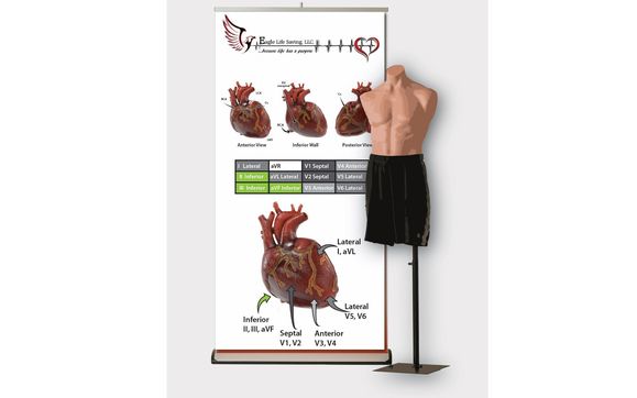 ELS - ECG BANNER & MANIKIN by Eagle Life Saving (AHA_CPR Certifications ...