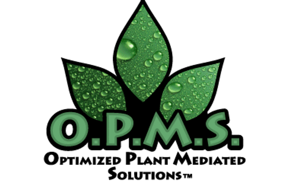 OPMS Gold Shots by the box (45ct) by STL Re-leaf (Auth pick up/deliv ...