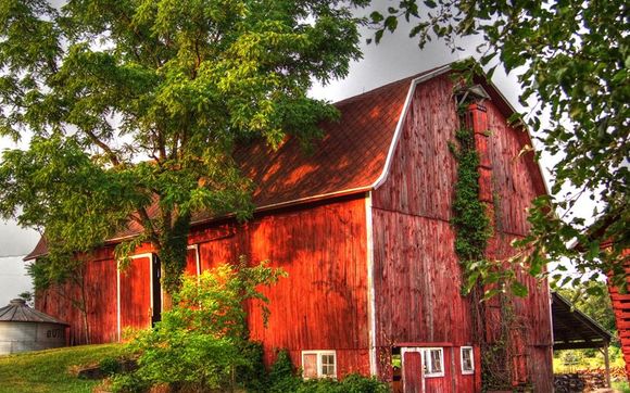 Clutterbarnauction.hibid.com by Clutter Barn Auction in Muncie, IN ...