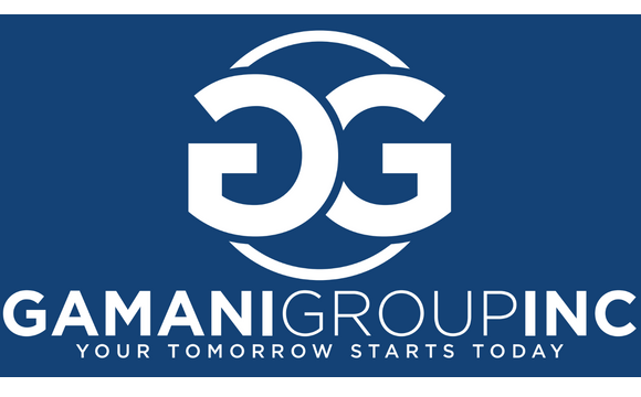 Free - Private 10 minute AI Business Analysis by Gamani Group in ...