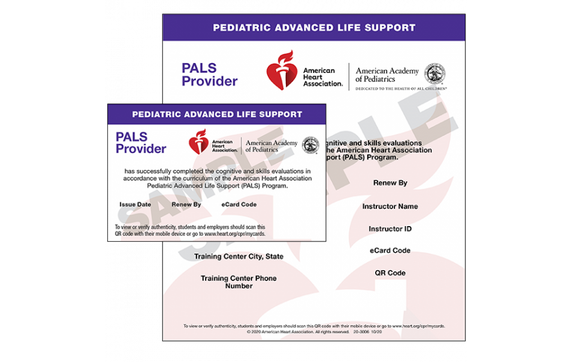 PALS American Heart Association by HeartCore Medical Training CPR ACLS ...