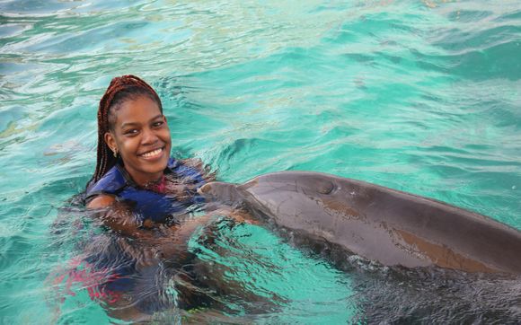 Dolphin Splash and Swim by Coral World Ocean Park in St Thomas, VI ...