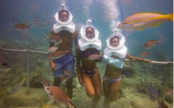 Sea Trek by Coral World Ocean Park in St Thomas, VI - Alignable