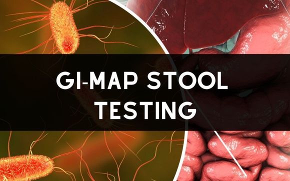 GI-MAP DNA Stool Test by Miss Alexa Nutrition in Chicago, IL - Alignable