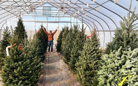 Christmas Trees by AJ Farms 605 in Belle Fourche Area - Alignable