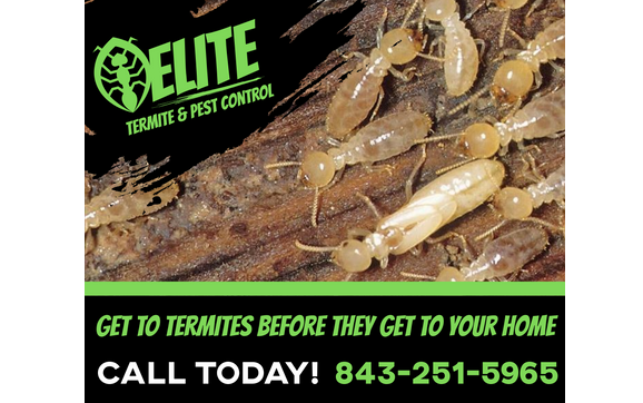 Residential Pest Program by Elite Termite & Pest Control in Myrtle ...