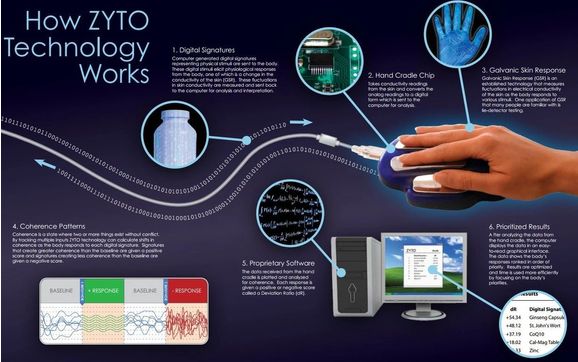 ZYTO BALANCE BIO-SCAN by My Road to Wellness in West Palm Beach, FL ...